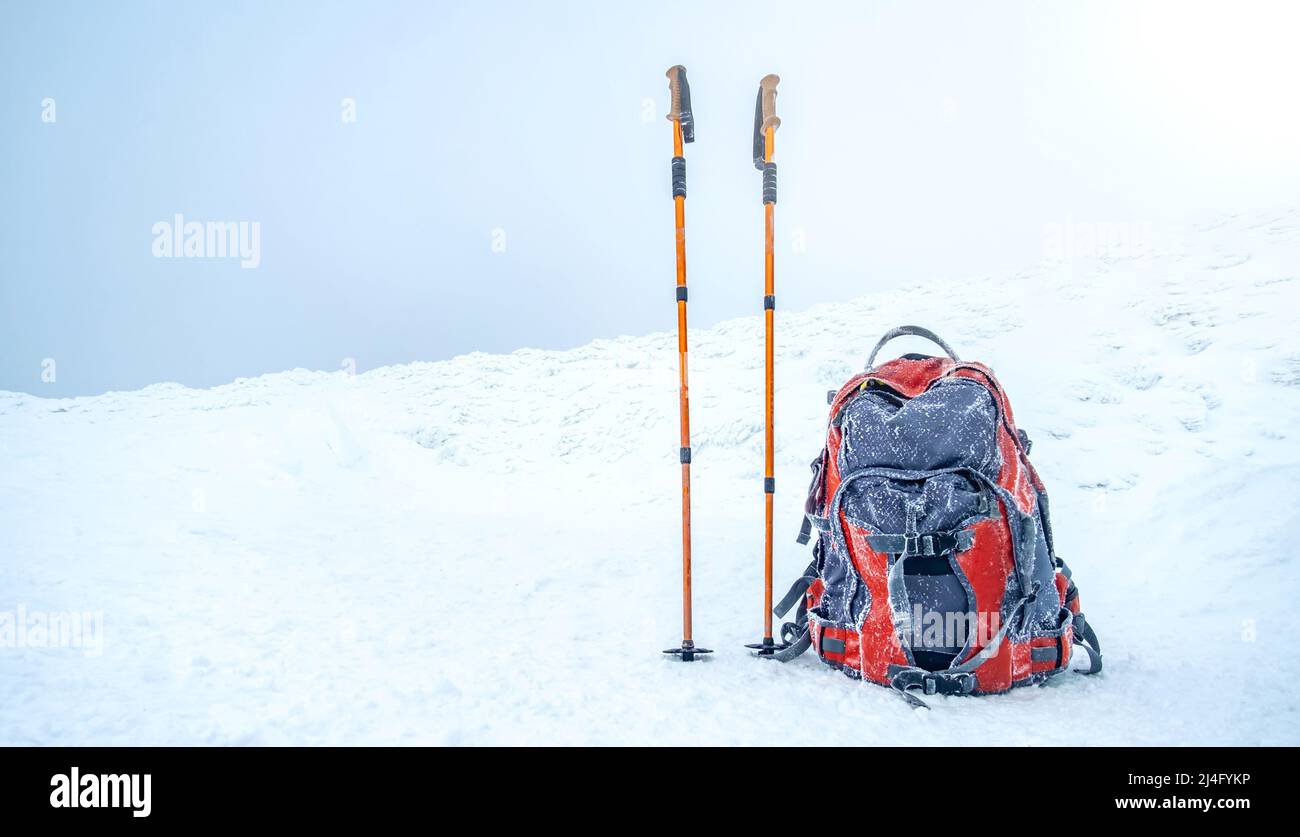 Frozen snow sticks hi-res stock photography and images - Alamy