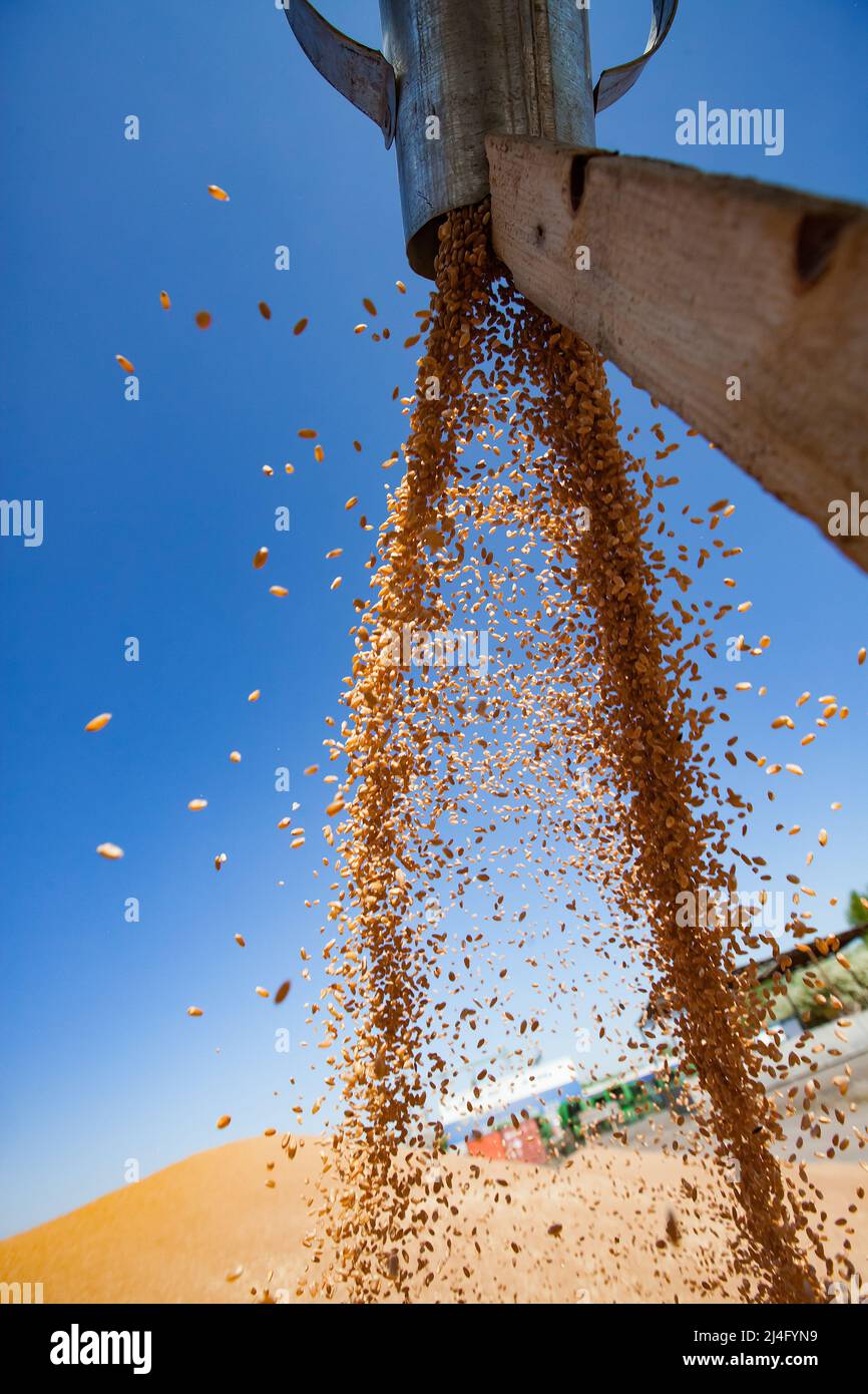 Winnowing machine hi-res stock photography and images - Alamy