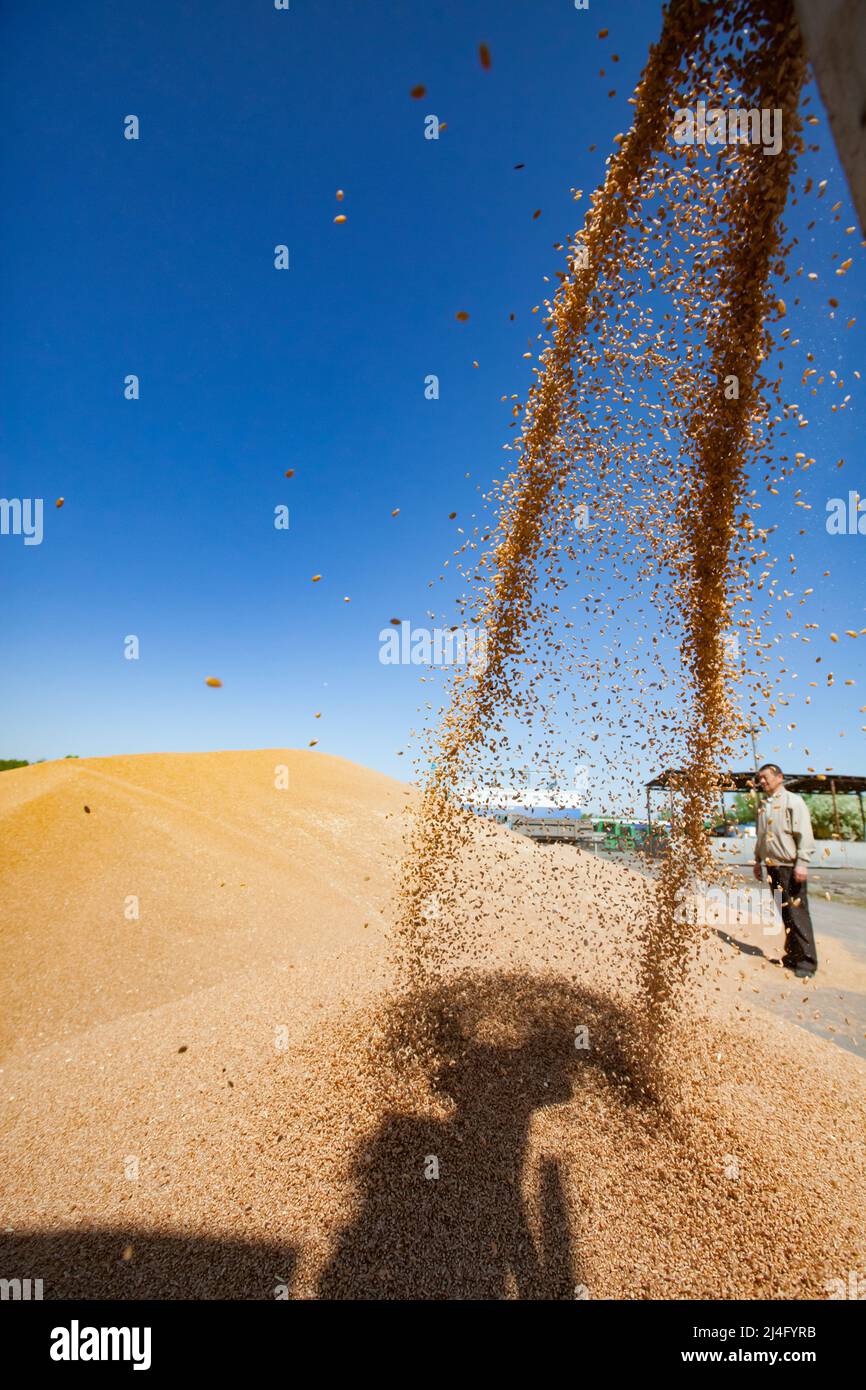 Winnowing seeds hi-res stock photography and images - Alamy