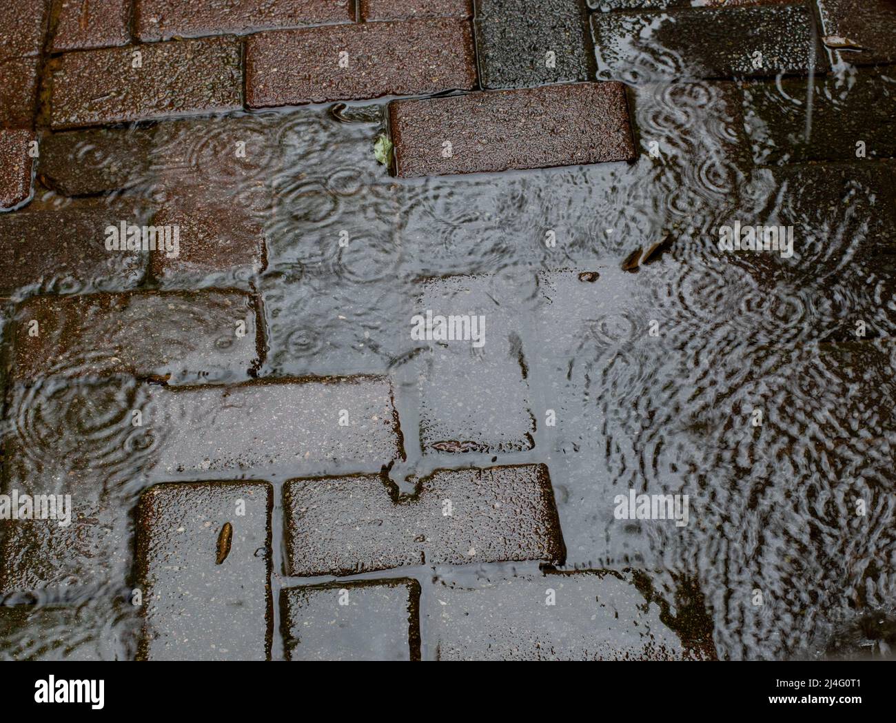 Rain drops form small puddles on a paved surface Stock Photo - Alamy