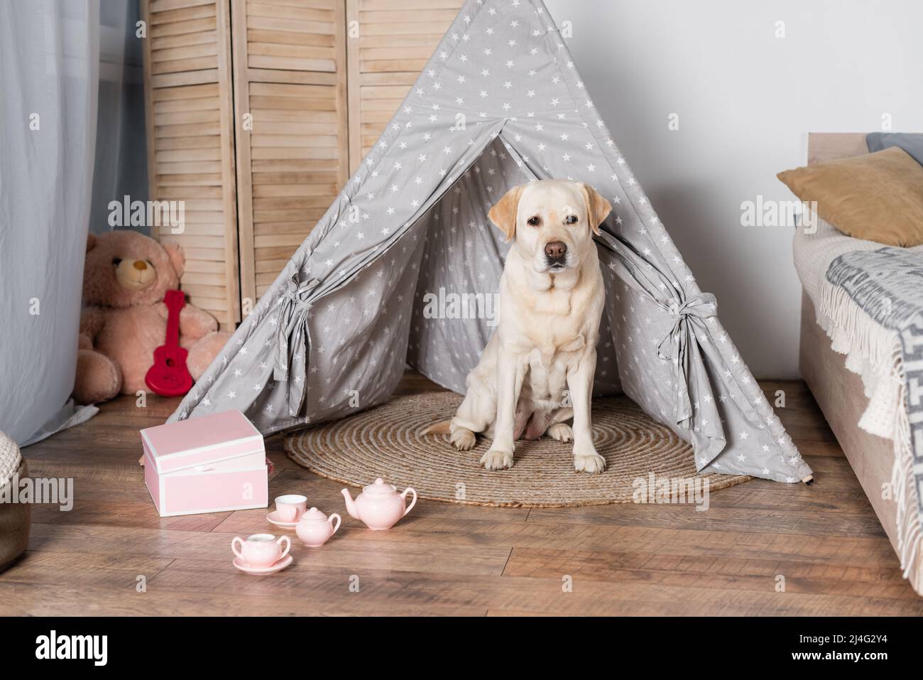 labrador dog sitting in wigwam near toy tea set and teddy bear Stock ...