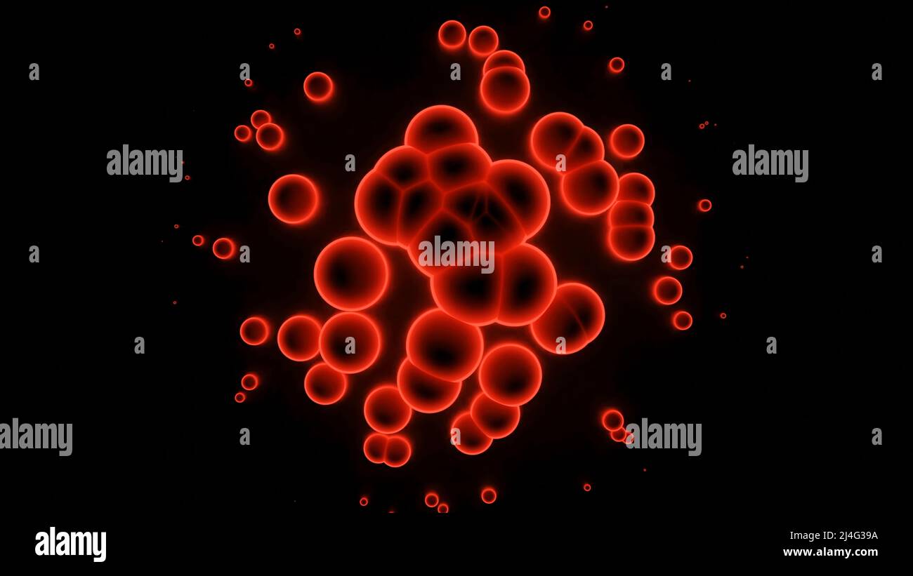 Animation of bacteria under microscope. Design. Microbes or infected ...