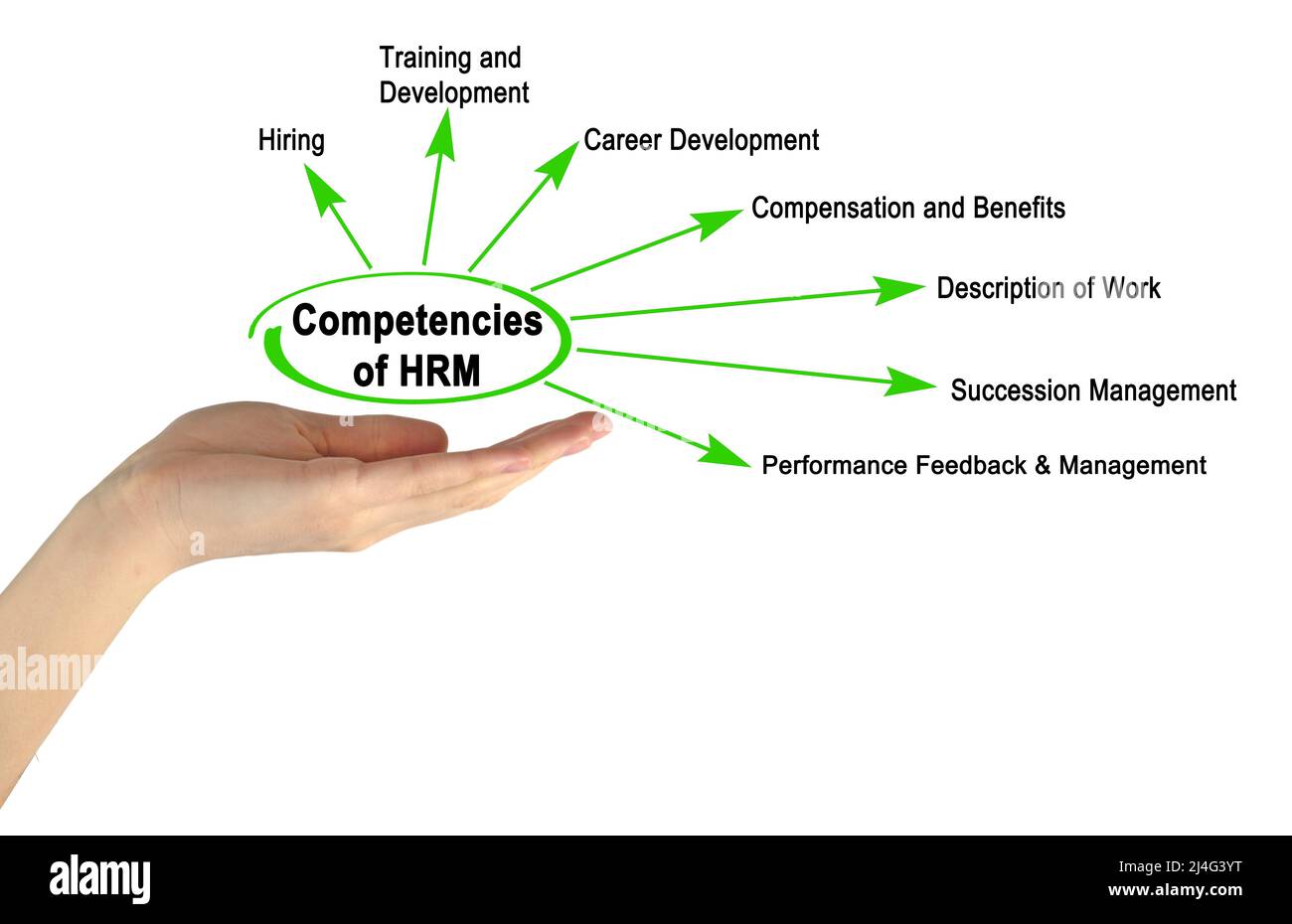 Seven Competencies of HR Managers Stock Photo - Alamy