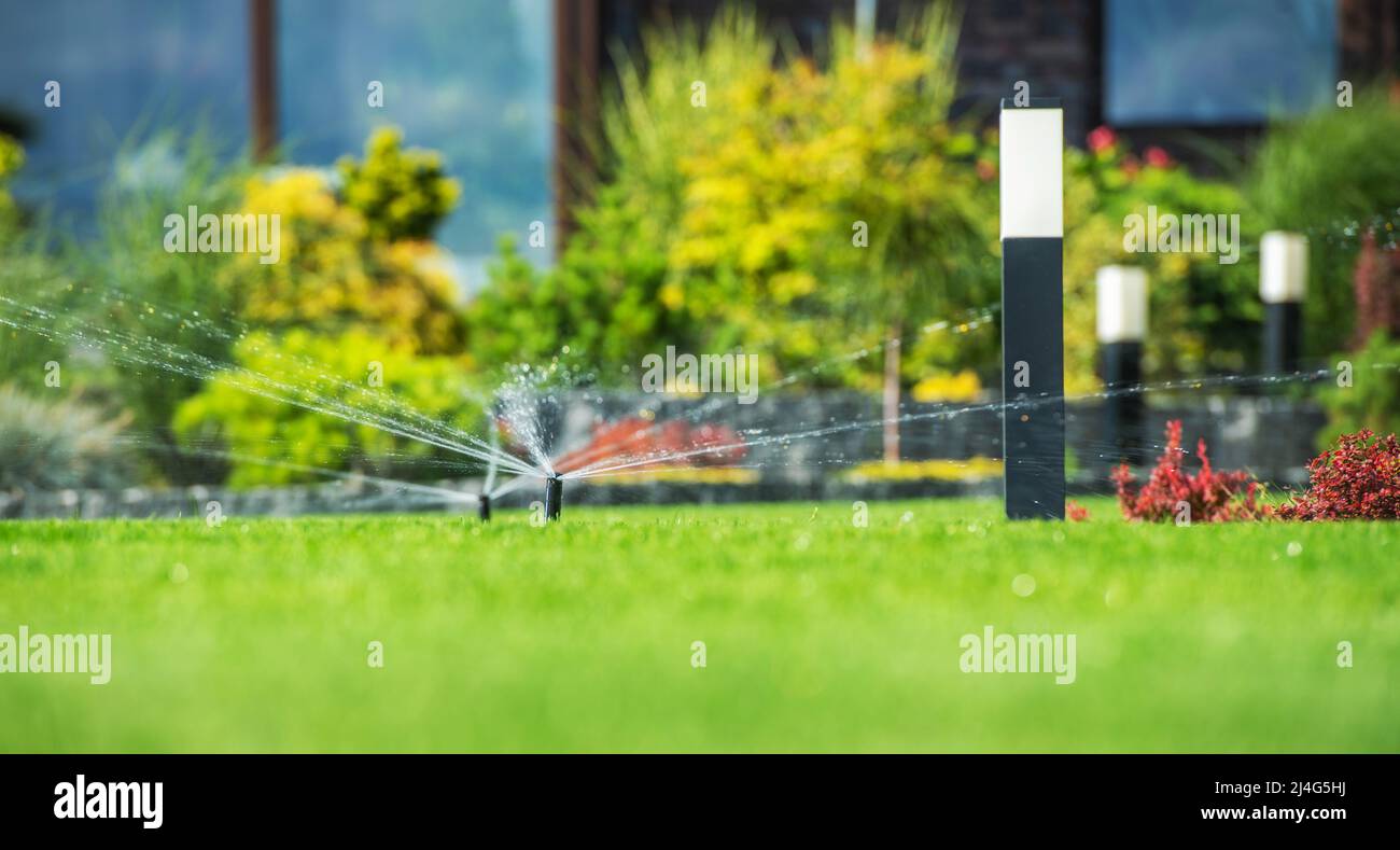 Automatic Lawn Sprinkler Backyard Garden Irrigation System Panoramic ...