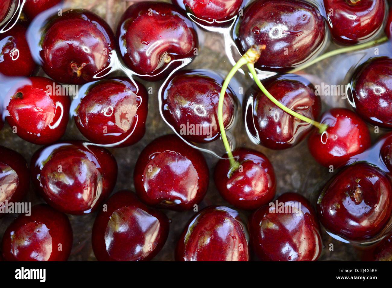 red ripe raw cherries with waterdops,image of a Stock Photo - Alamy