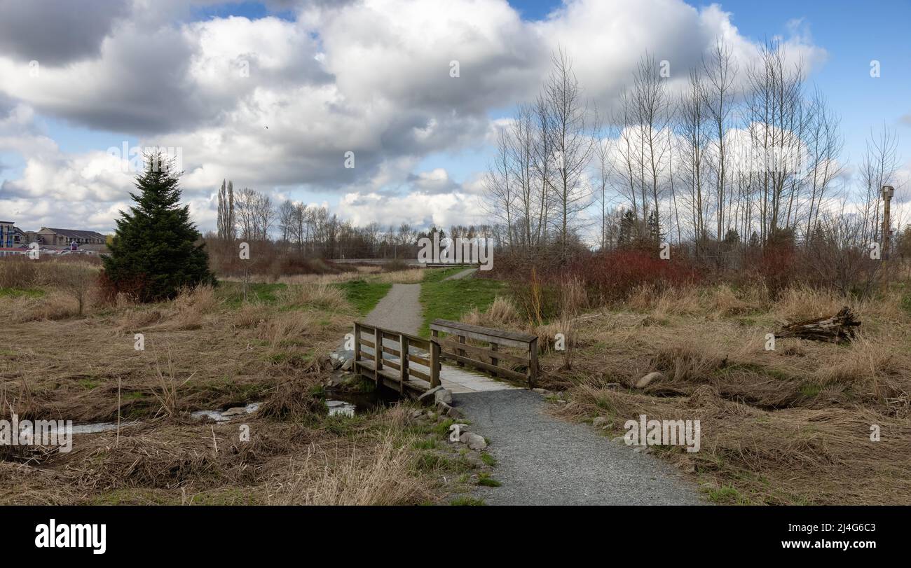 Scenic path in a park with green field and trees in a city Stock Photo ...