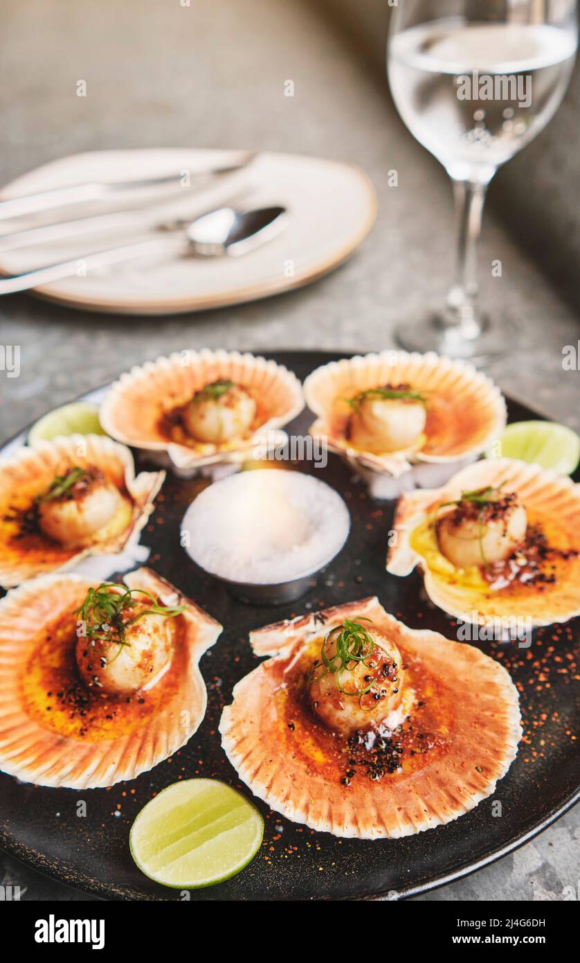 Scallops with flamed shells on a black plate. Luxury restaurant food ...