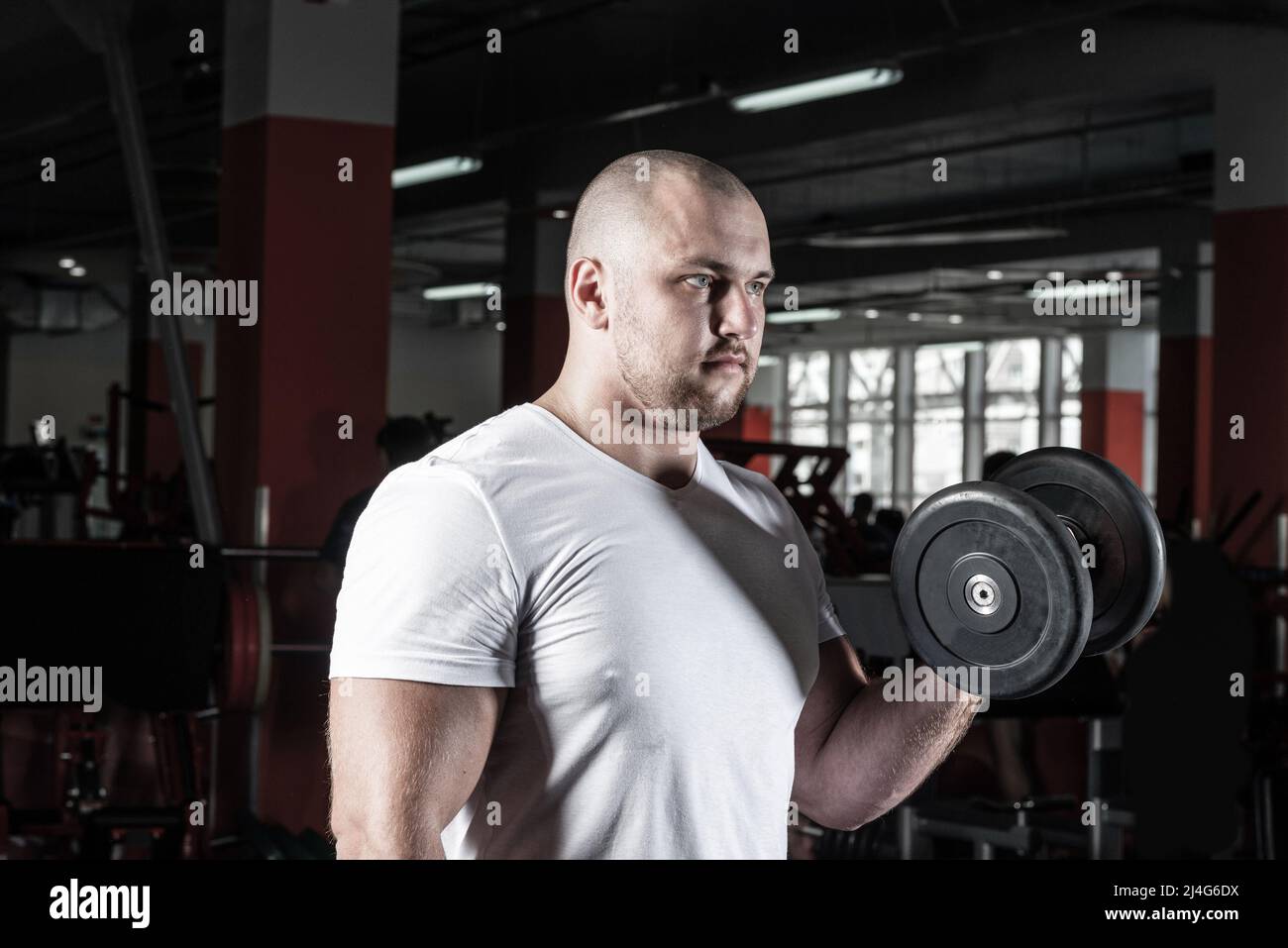 Male bodybuilder engaged with dumbbells in the gym Stock Photo - Alamy
