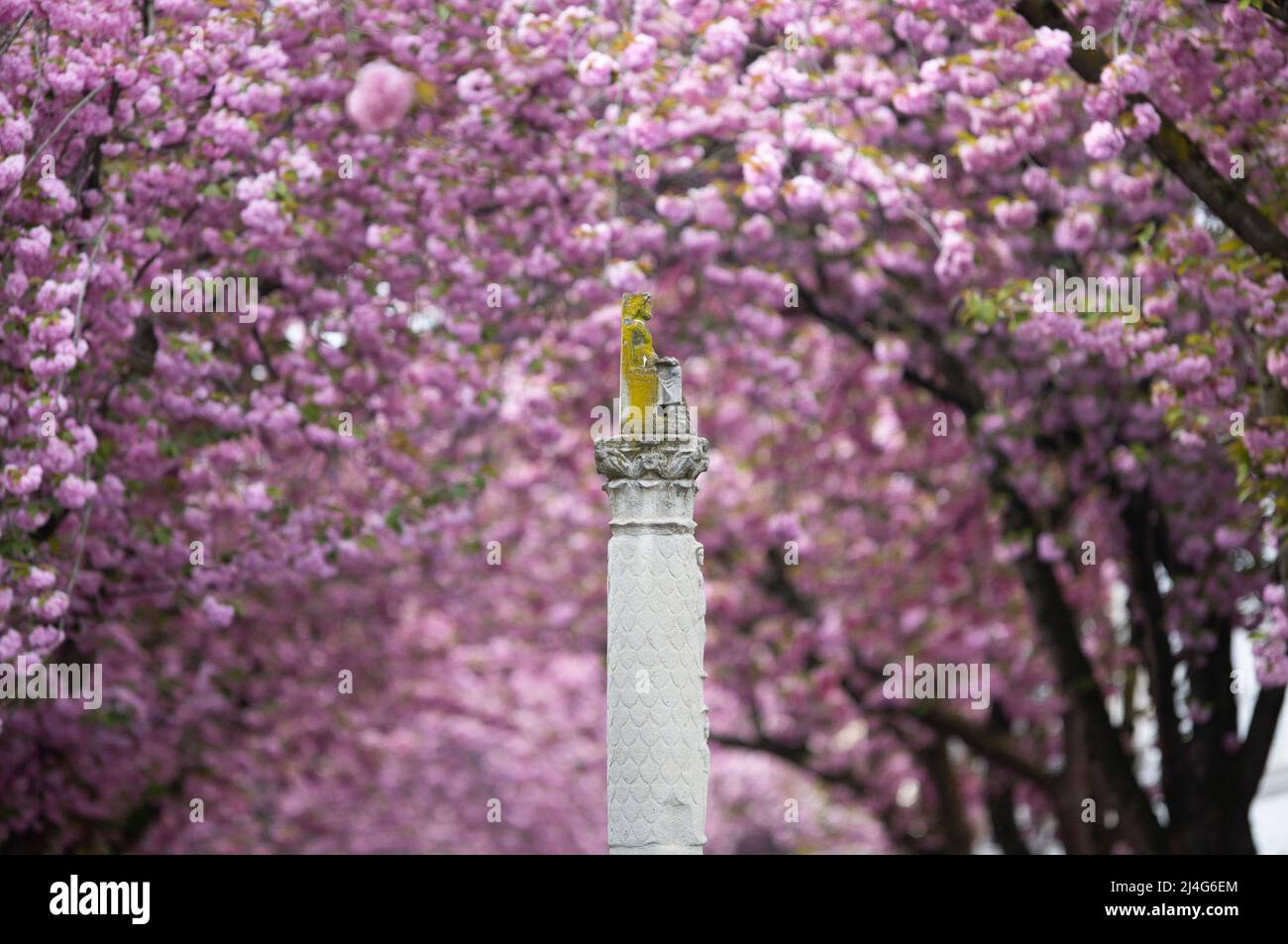Column of jupiter hi-res stock photography and images - Alamy