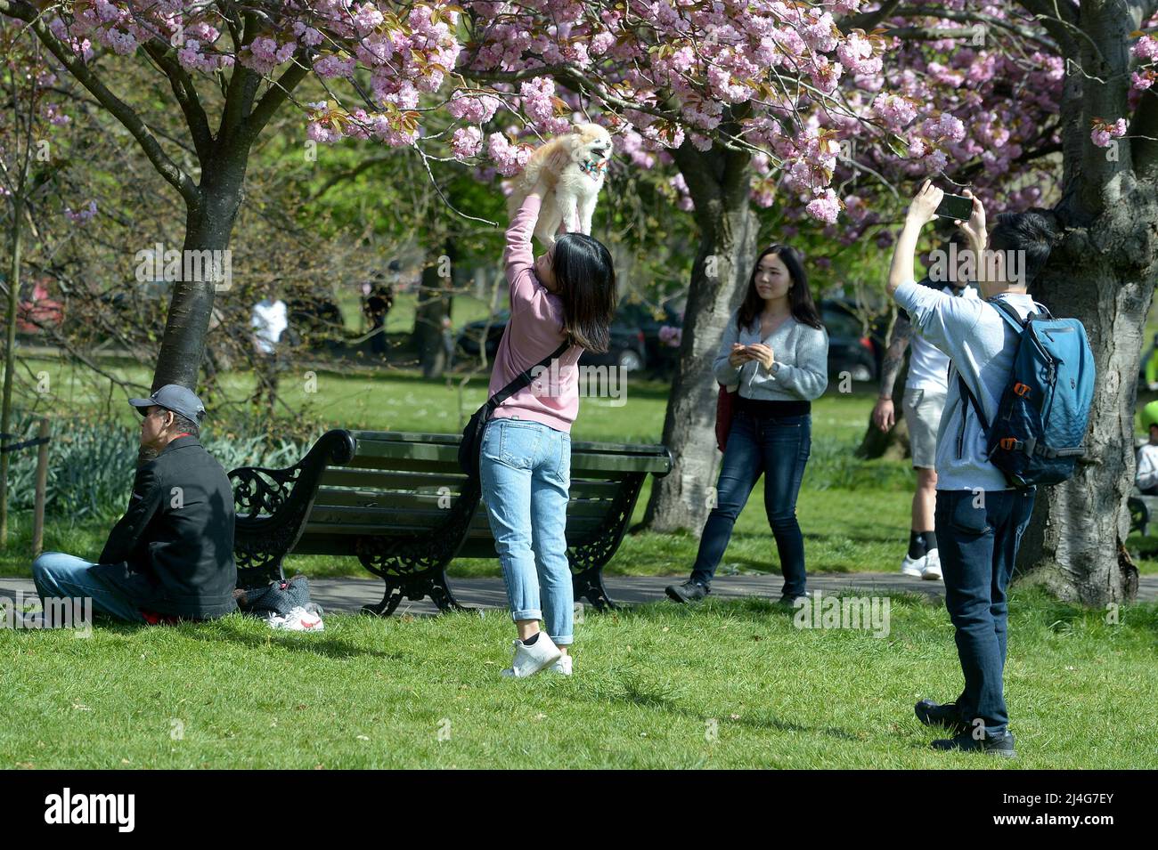 Greenwich London London, UK. 15th Apr, 2022. Visitors to Greenwich park ...