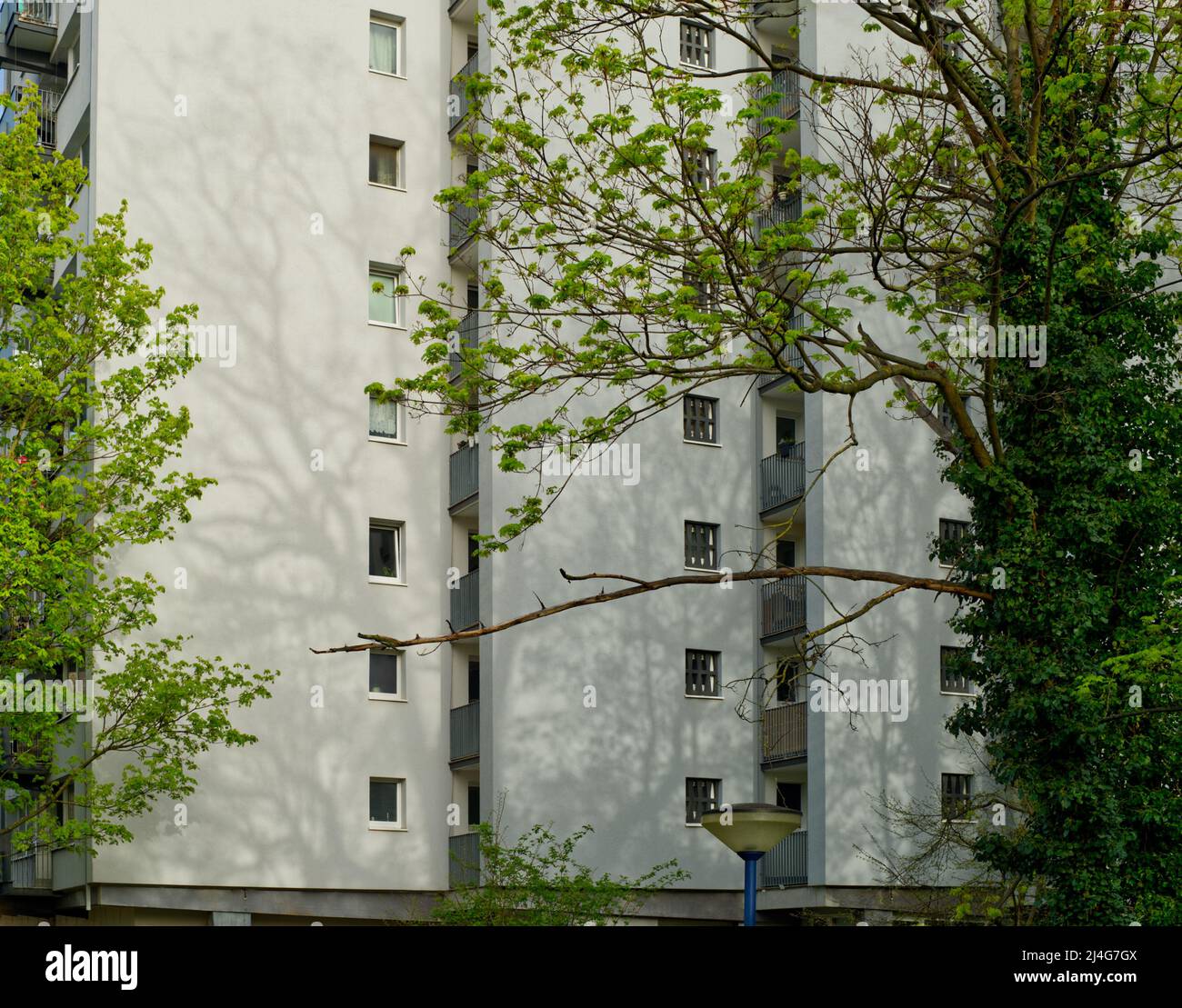 white front of a modern high-rise building with green trees on both ...