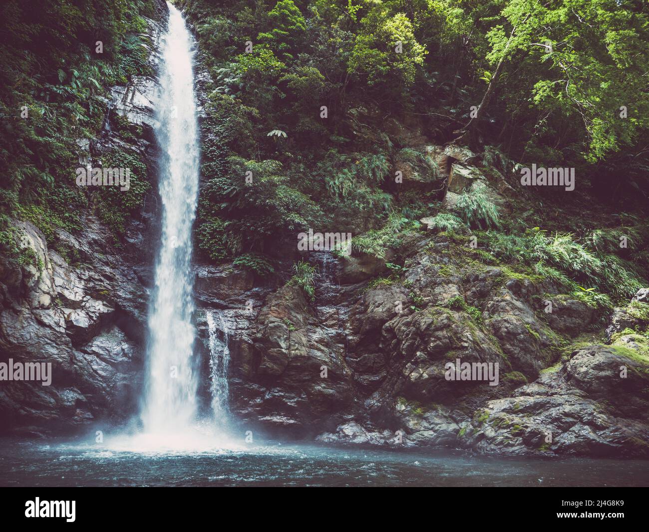 Tall forest waterfall in Yilan County, Taiwan Stock Photo - Alamy