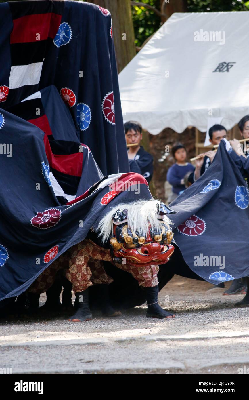 iida, nagano, japan, 2022/09/04 , the shishimai performance (lion dance ...