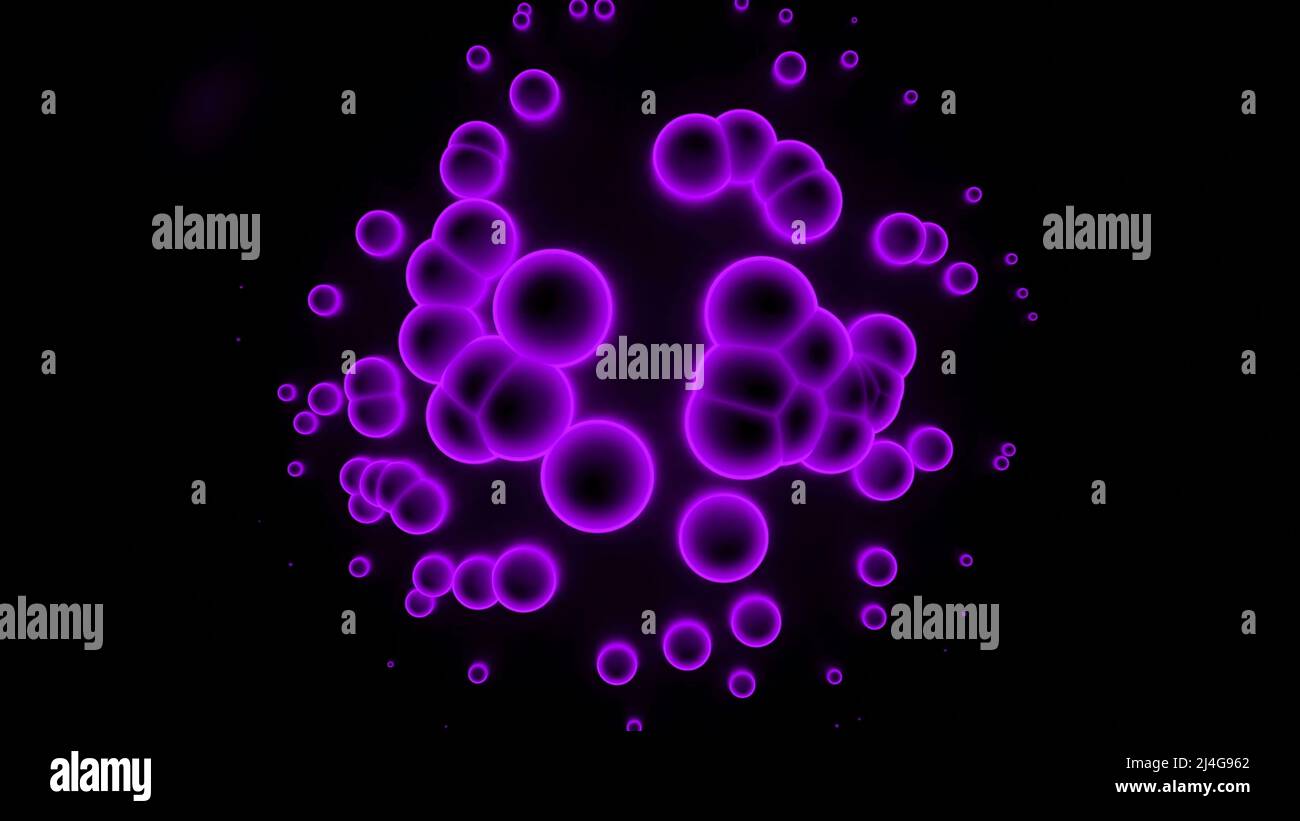 Animation of bacteria under microscope. Design. Microbes or infected ...