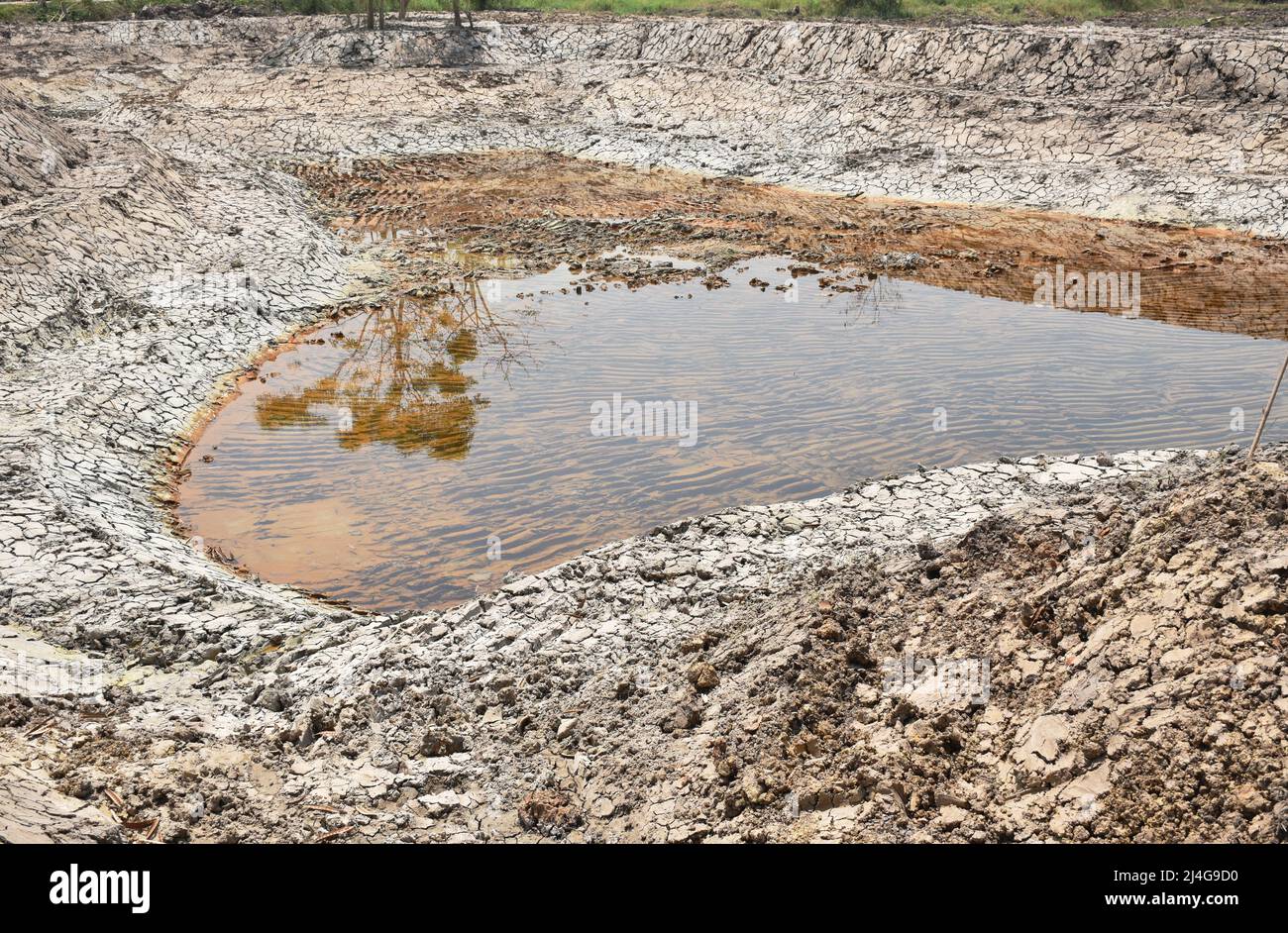 dry land on paddy filled and pool with less water in summer Stock Photo ...