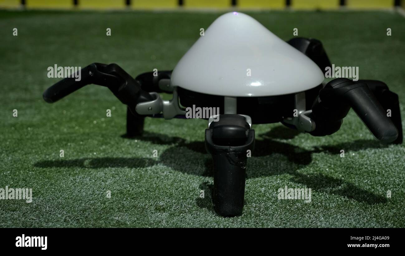 Demonstrating movement of spider robot at the exhibition of science and ...