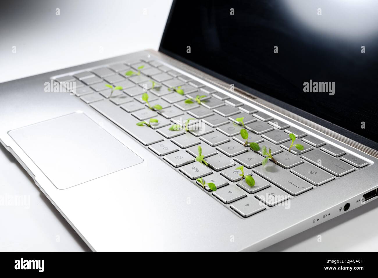 Laptop computer with a lot of seedlings growing up in the keyboard ...