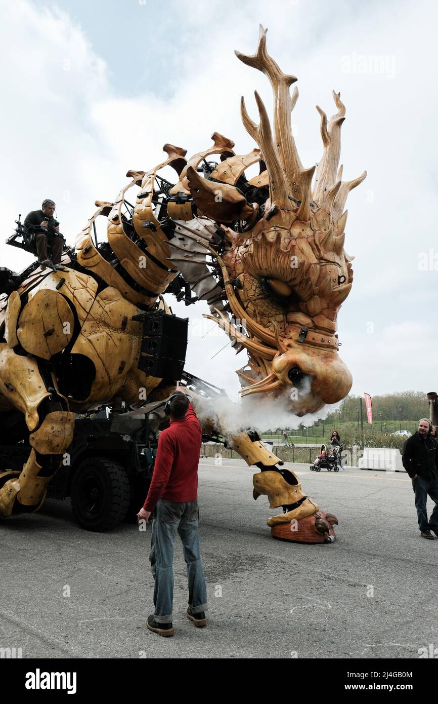 Long ma horse dragon hi-res stock photography and images - Alamy