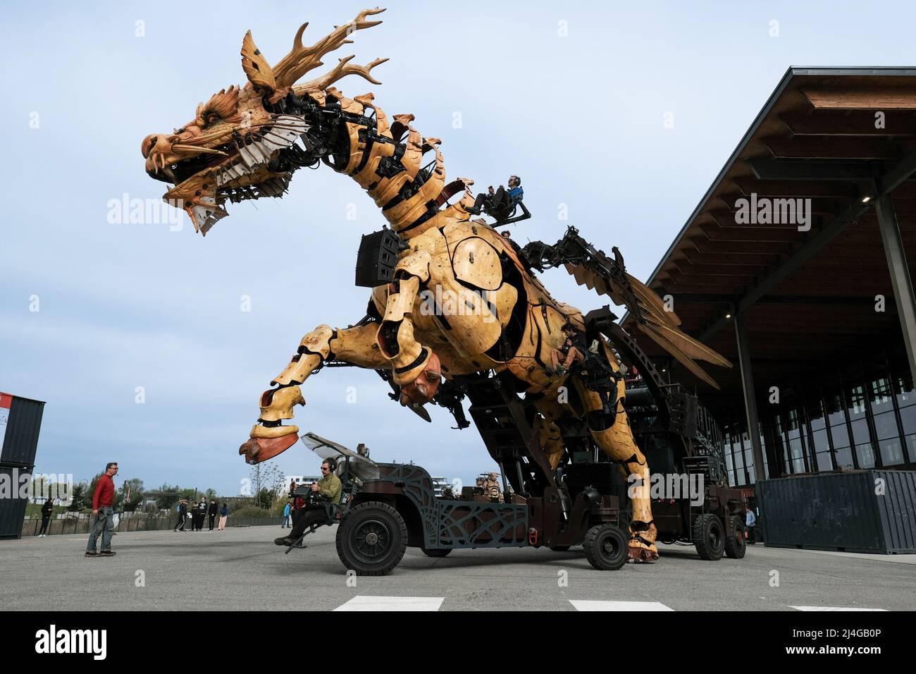 Horse cheval de dragon hi-res stock photography and images - Alamy