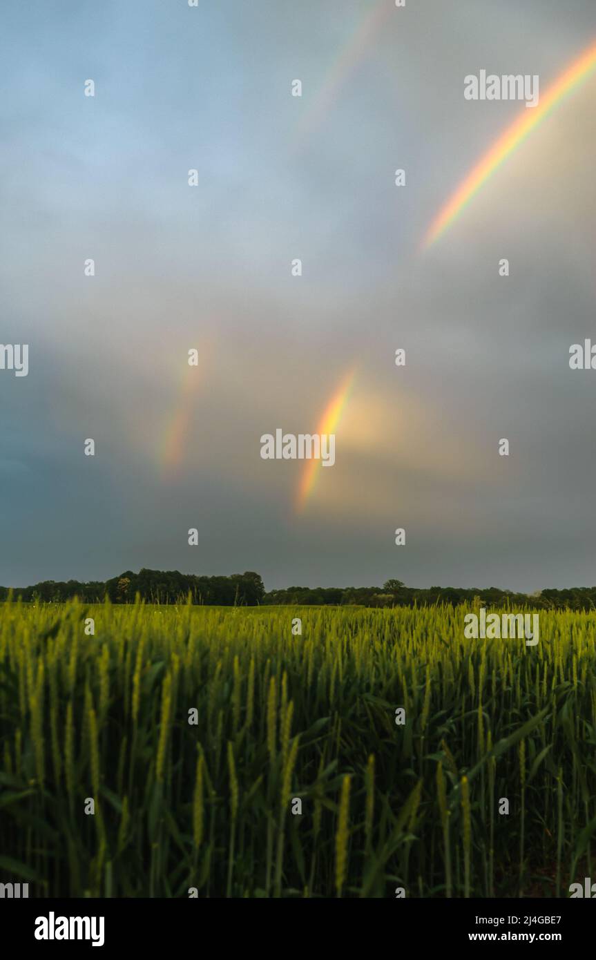 Rainbow over agricultural fields in stormy weather Stock Photo - Alamy