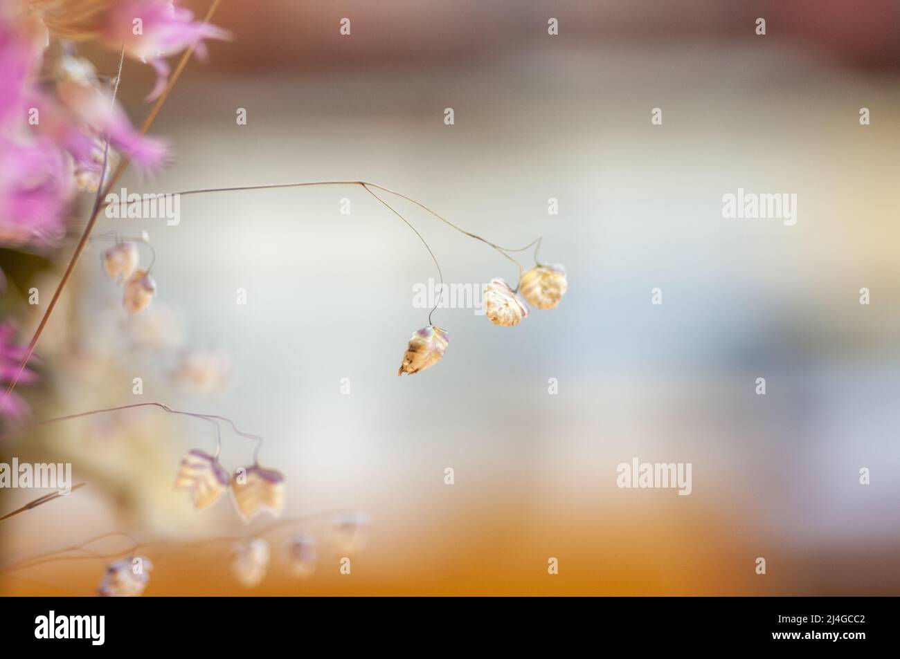 Abstract spring background. Background spring image Stock Photo - Alamy