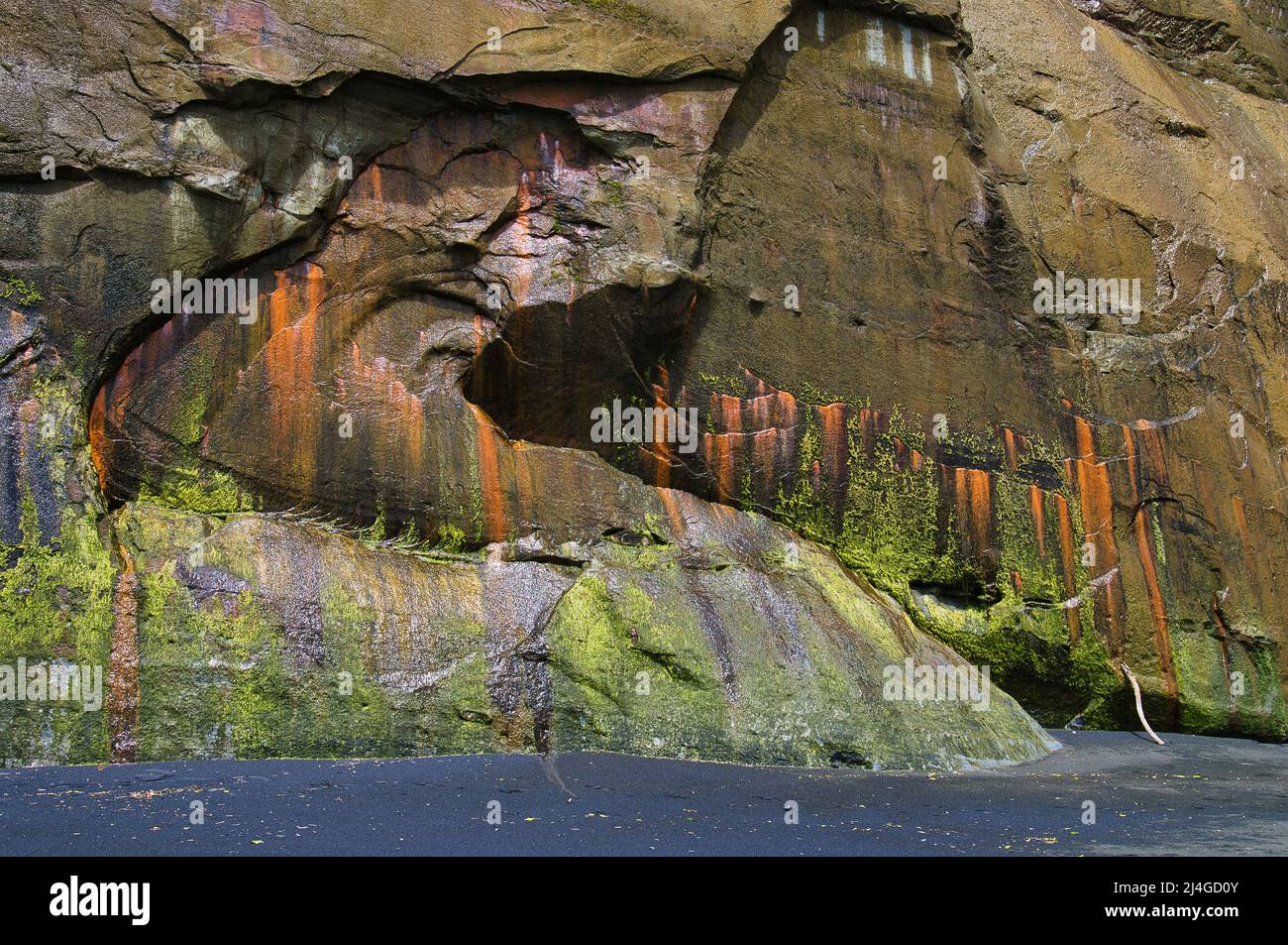 Water seeping down a moss and lichen covered cliff with brown streaks ...