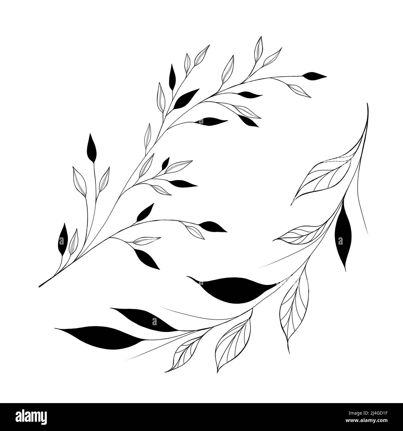 Botanical Drawing Tattoo