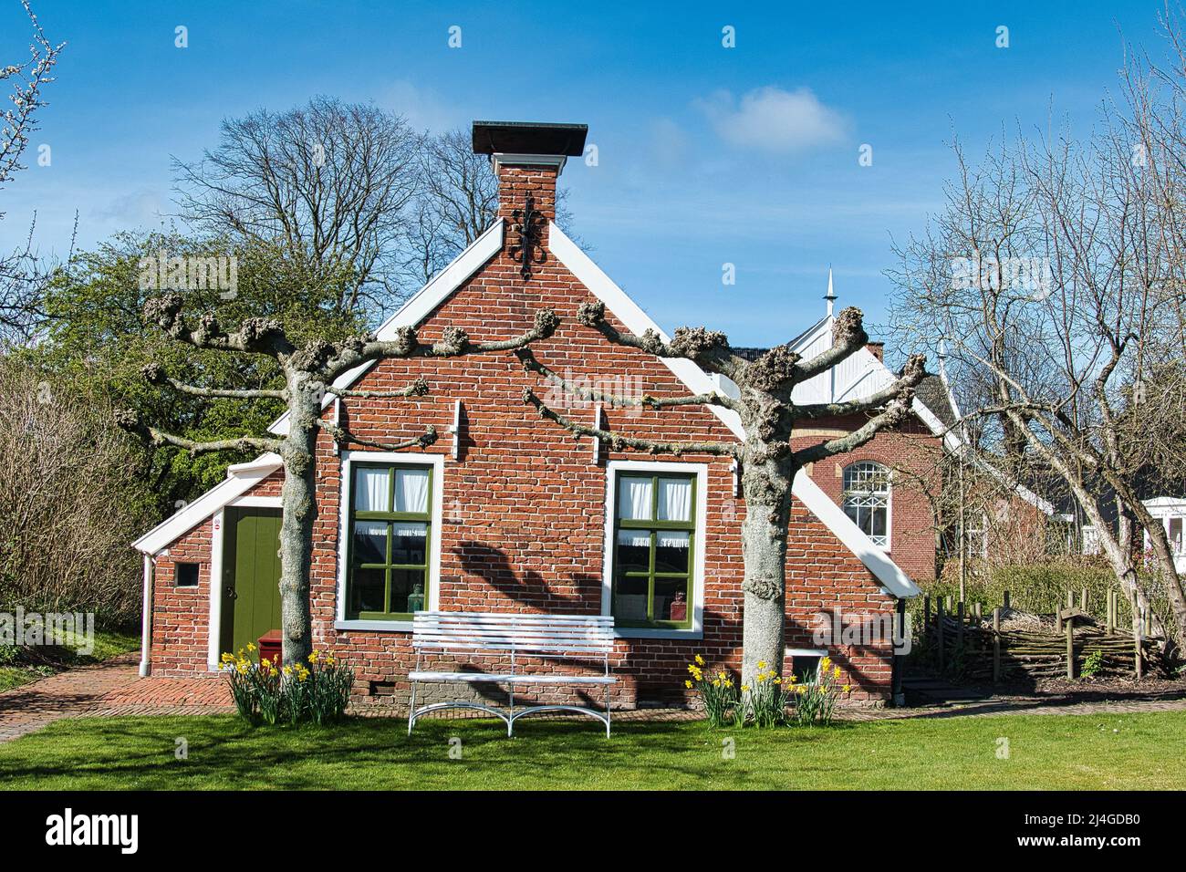 Old country cottage with espaliers and a bench seat in the village of ...