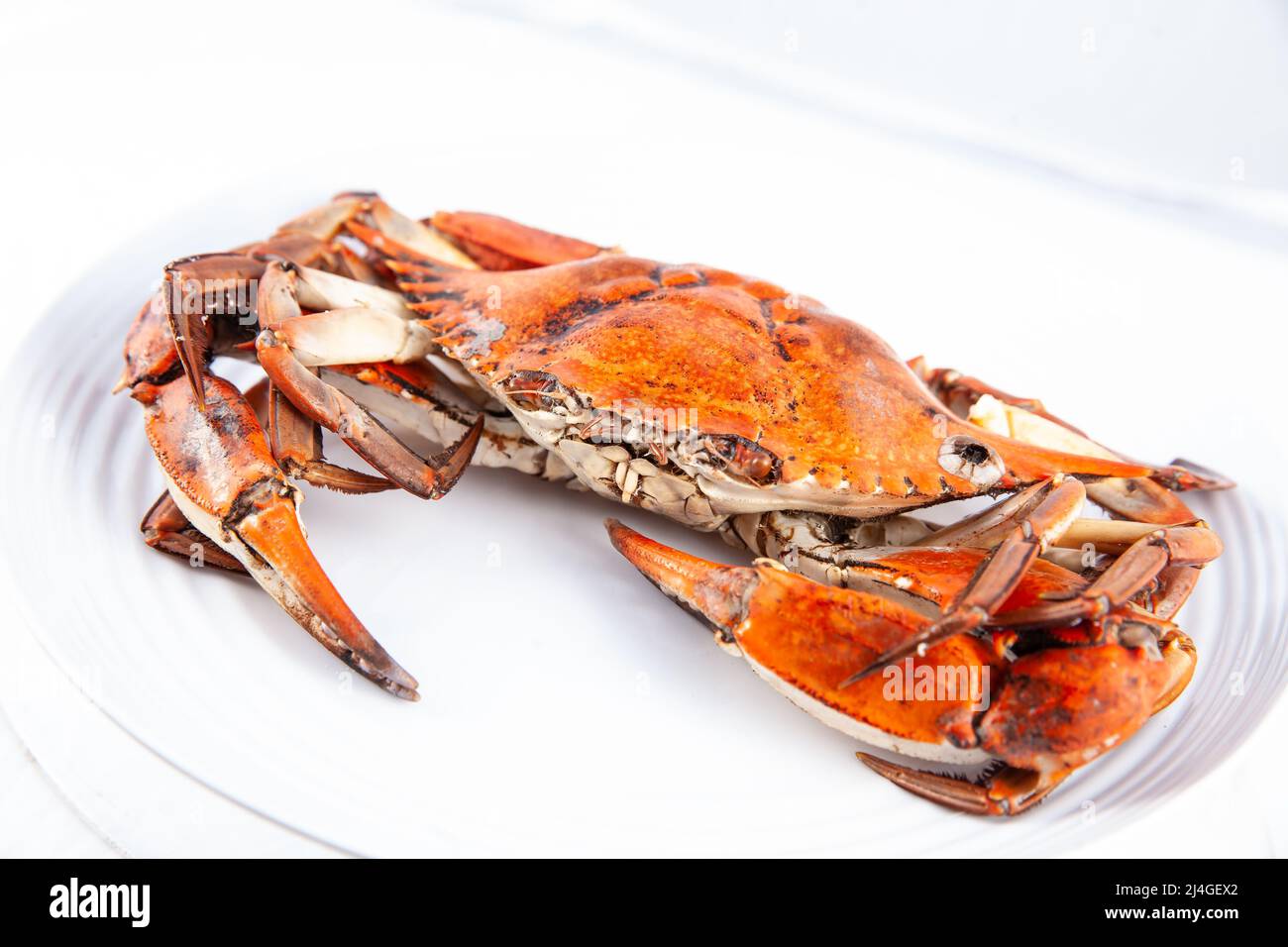 Close up of a just cooked Callinectes sapidus commonly called Jaiba in ...
