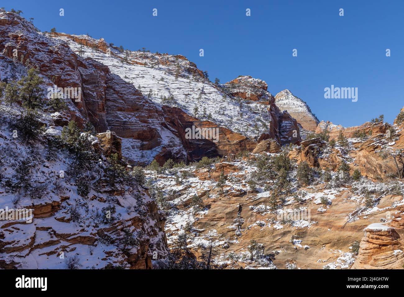 Scenci Snow Covered Zion National Park Utah Landscape in Winter Stock ...