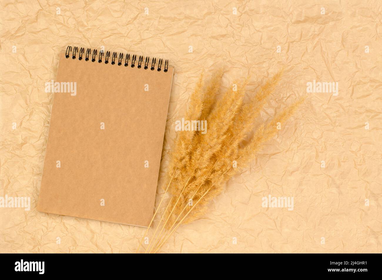 Blank notepad with kraft paper on crumpled beige background with pampas ...