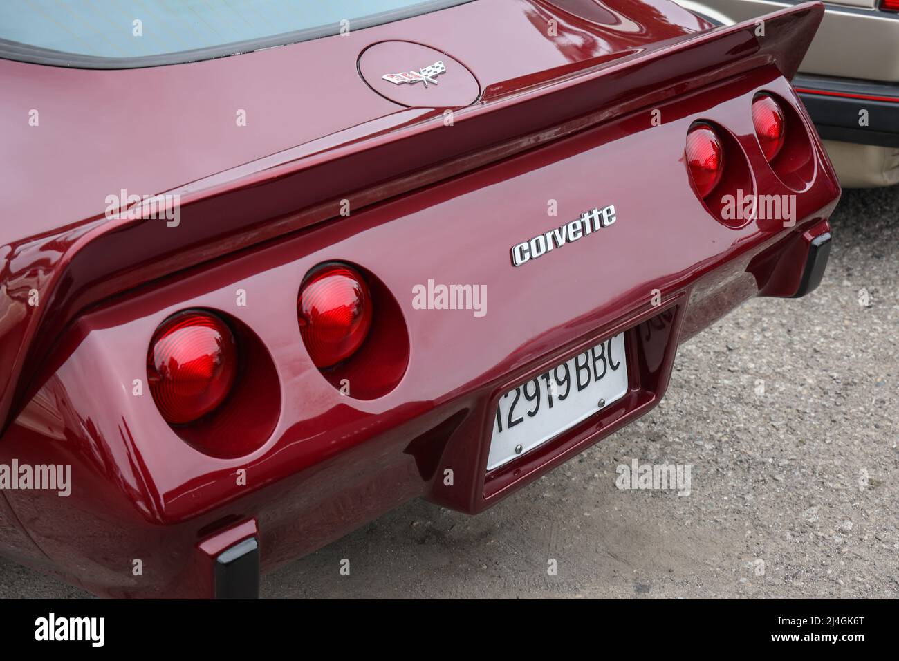 Rear view of 1981 Corvette Stingray C3, American Muscle Car Stock Photo ...