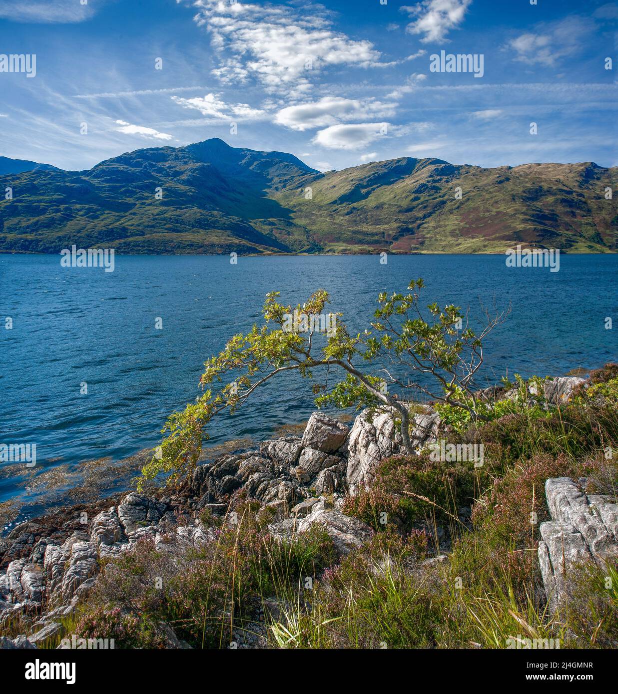 Knoydart across Loch Hourn from The herring path, Scotland Stock Photo ...