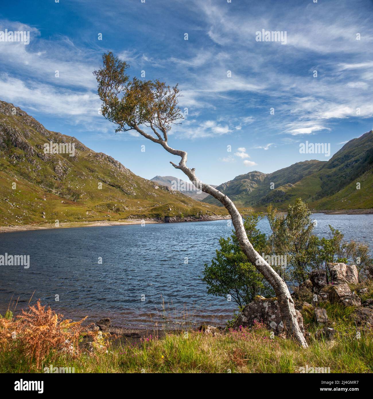 The Dubh Lochan in Glen Arnisdale, Glenelg, Scotland Stock Photo - Alamy