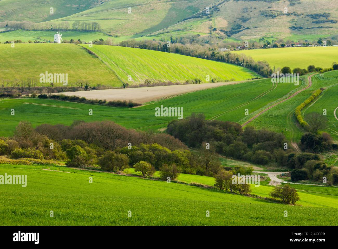 Spring morning on the South Downs in East Sussex, England Stock Photo ...