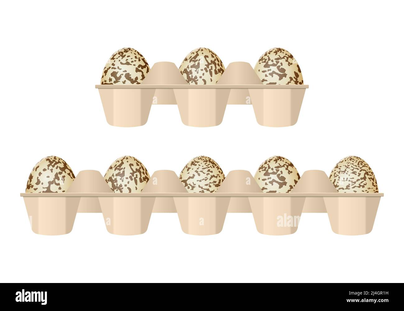 Quail eggs on paper Cut Out Stock Images & Pictures - Alamy