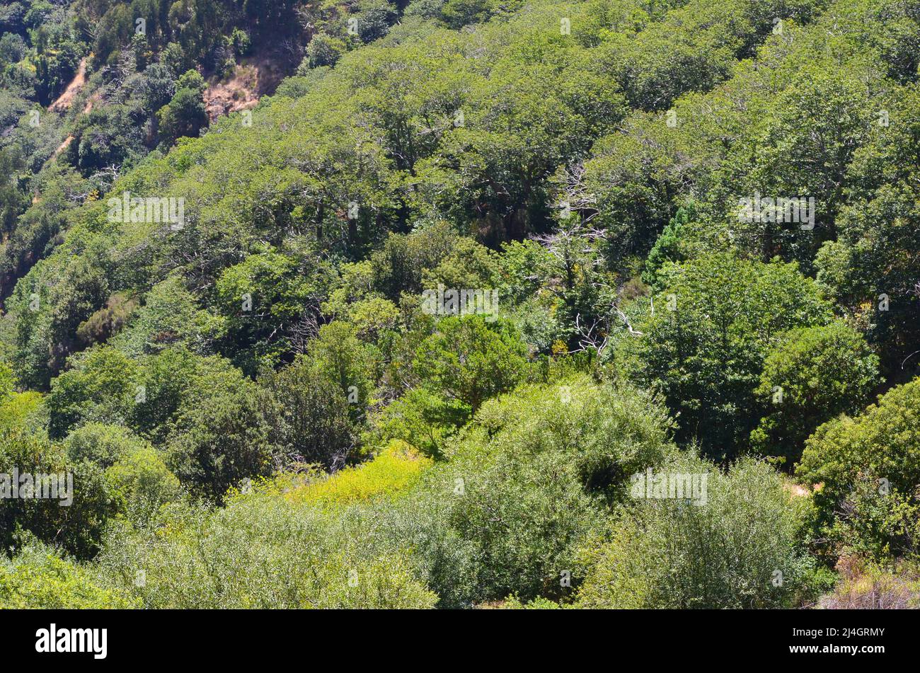 Indigenous food sovereignty hi-res stock photography and images - Alamy