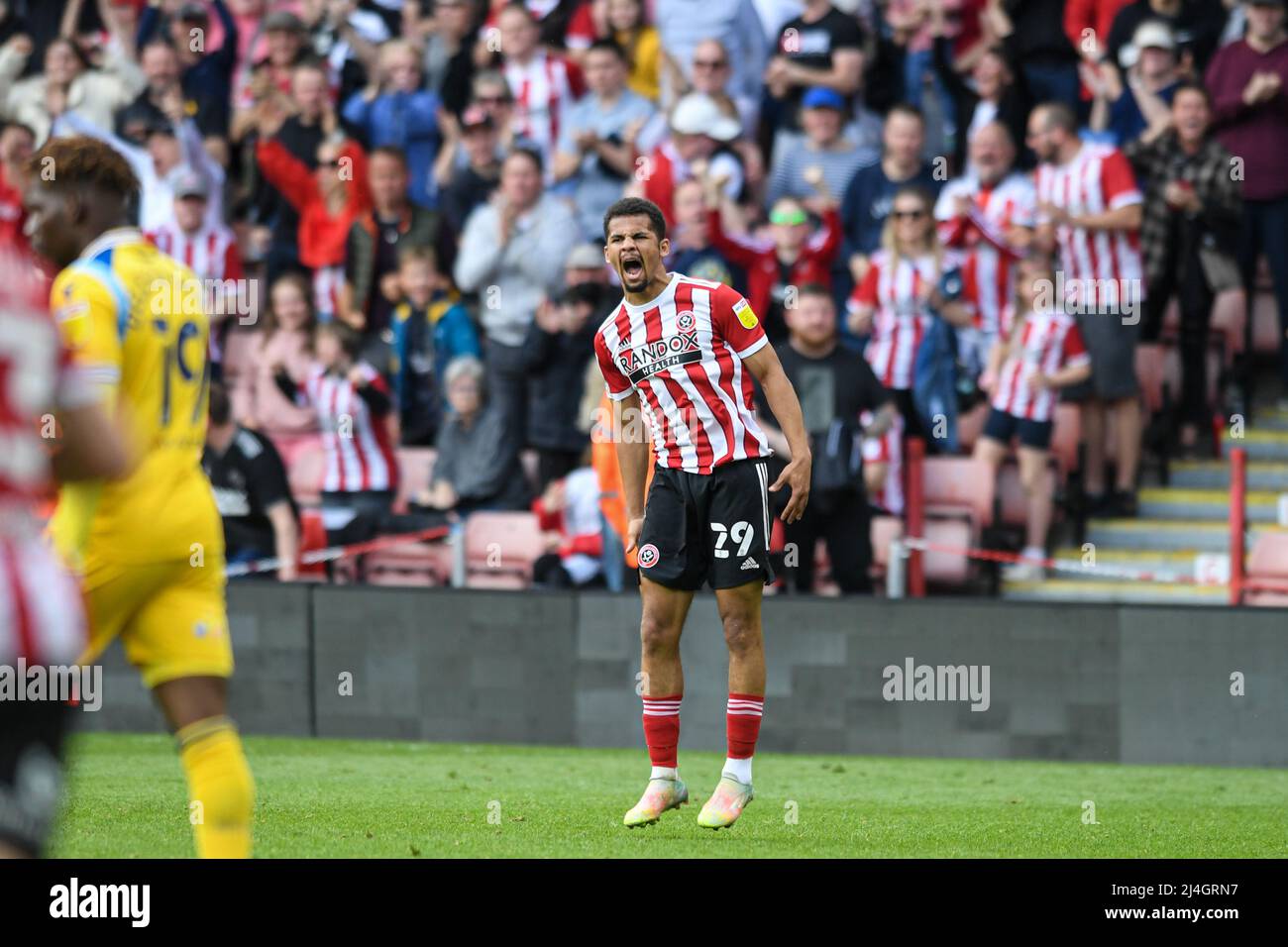Iliman Ndiaye 29 Of Sheffield United Celebrates Scoring A Goal To Make