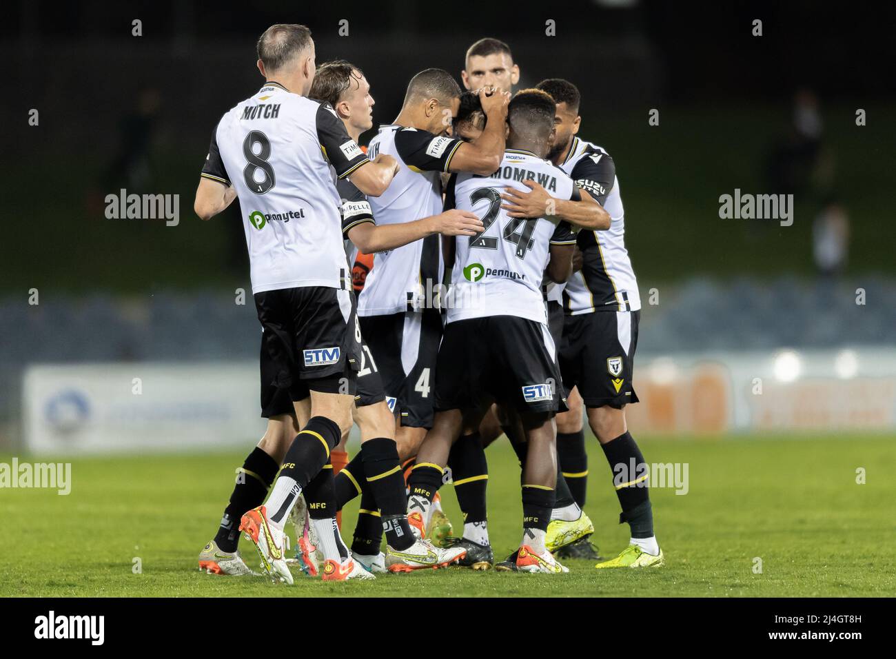 Macarthur bulls hi-res stock photography and images - Alamy