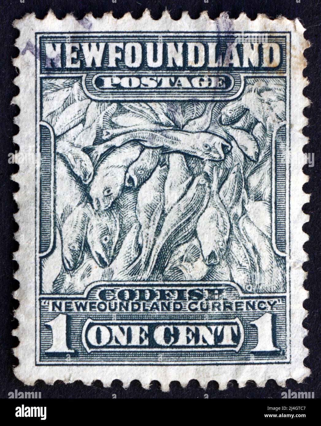 NEWFOUNDLAND - CIRCA 1932: a stamp printed in Newfoundland, Canada ...