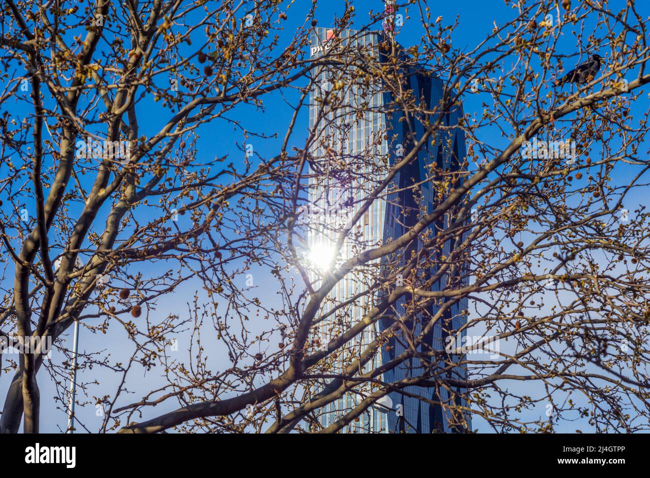 Wien, Vienna: DC Tower 1, tree in 22. Donaustadt, Wien, Austria Stock ...