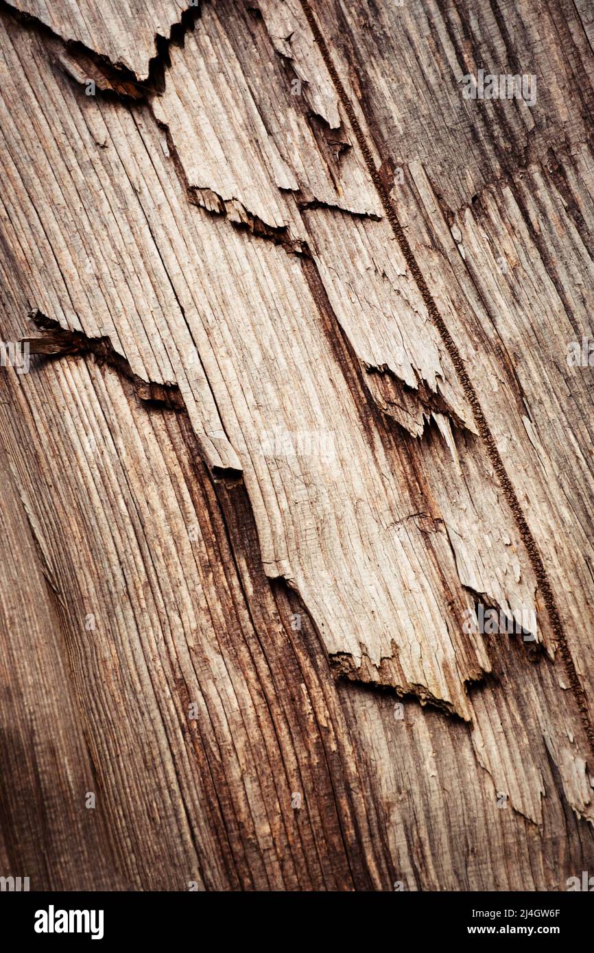 abstract background or texture detail of broken dark wood structure ...