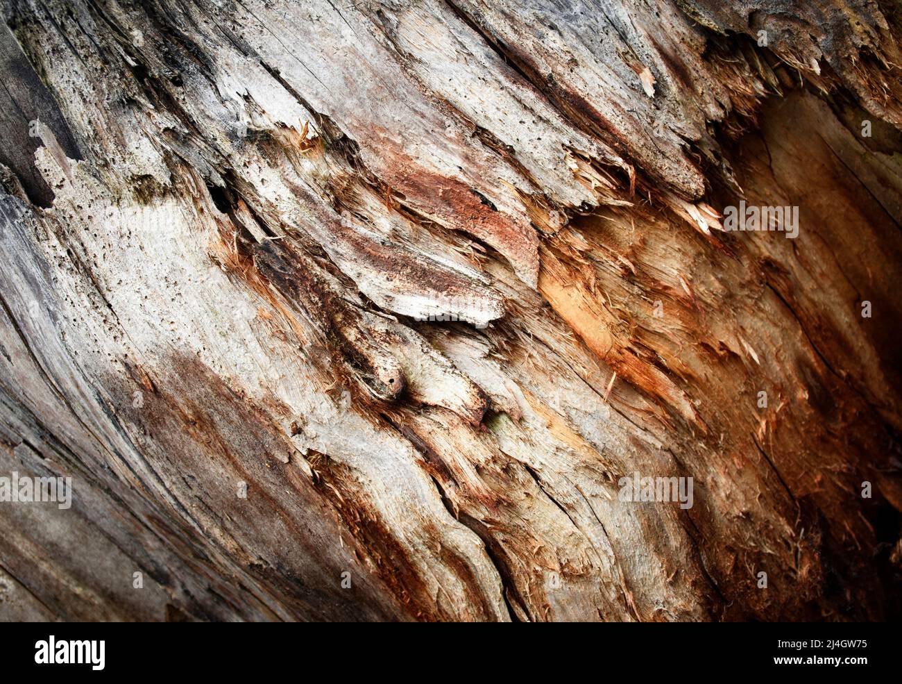 Rotting timber structure hi-res stock photography and images - Alamy