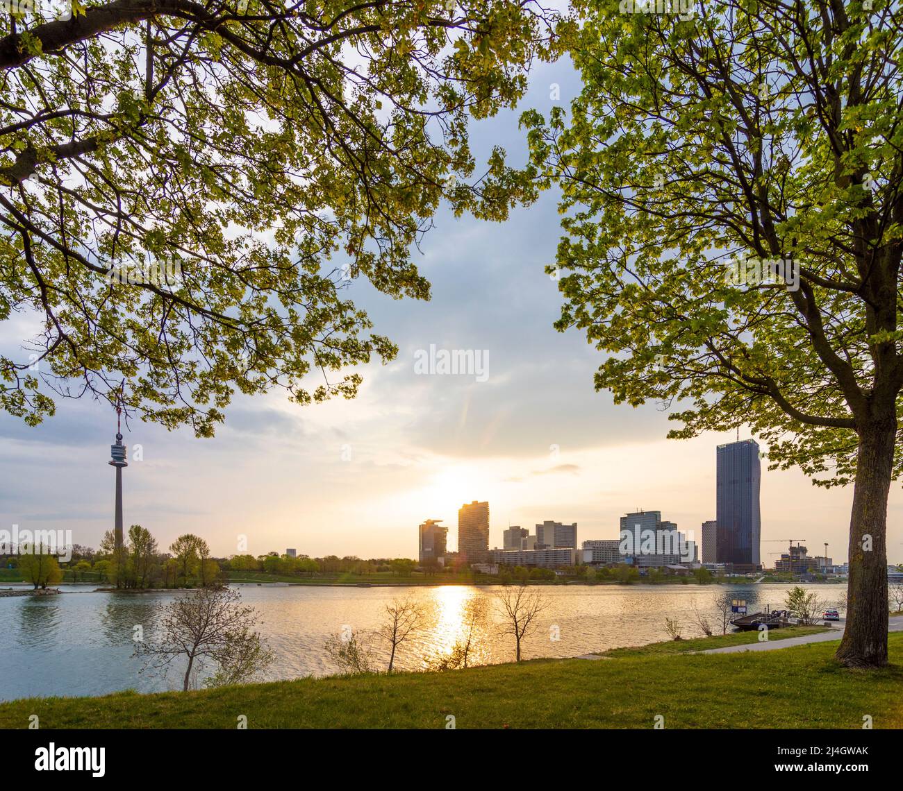 Wien, Vienna: sunrise at river Neue Donau (New Danube), tower Donauturm ...