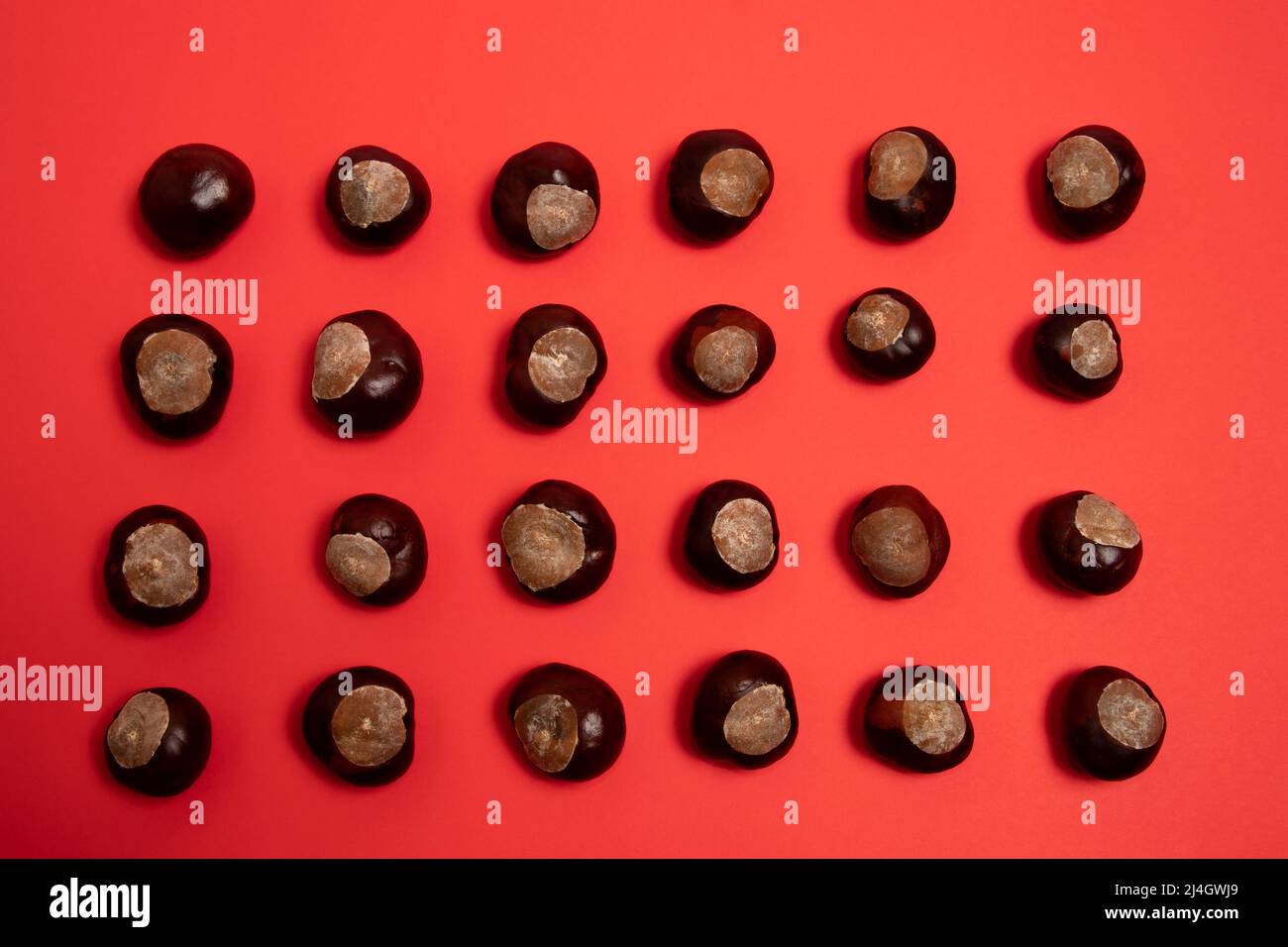 Chestnuts on a red background. Top view Stock Photo - Alamy