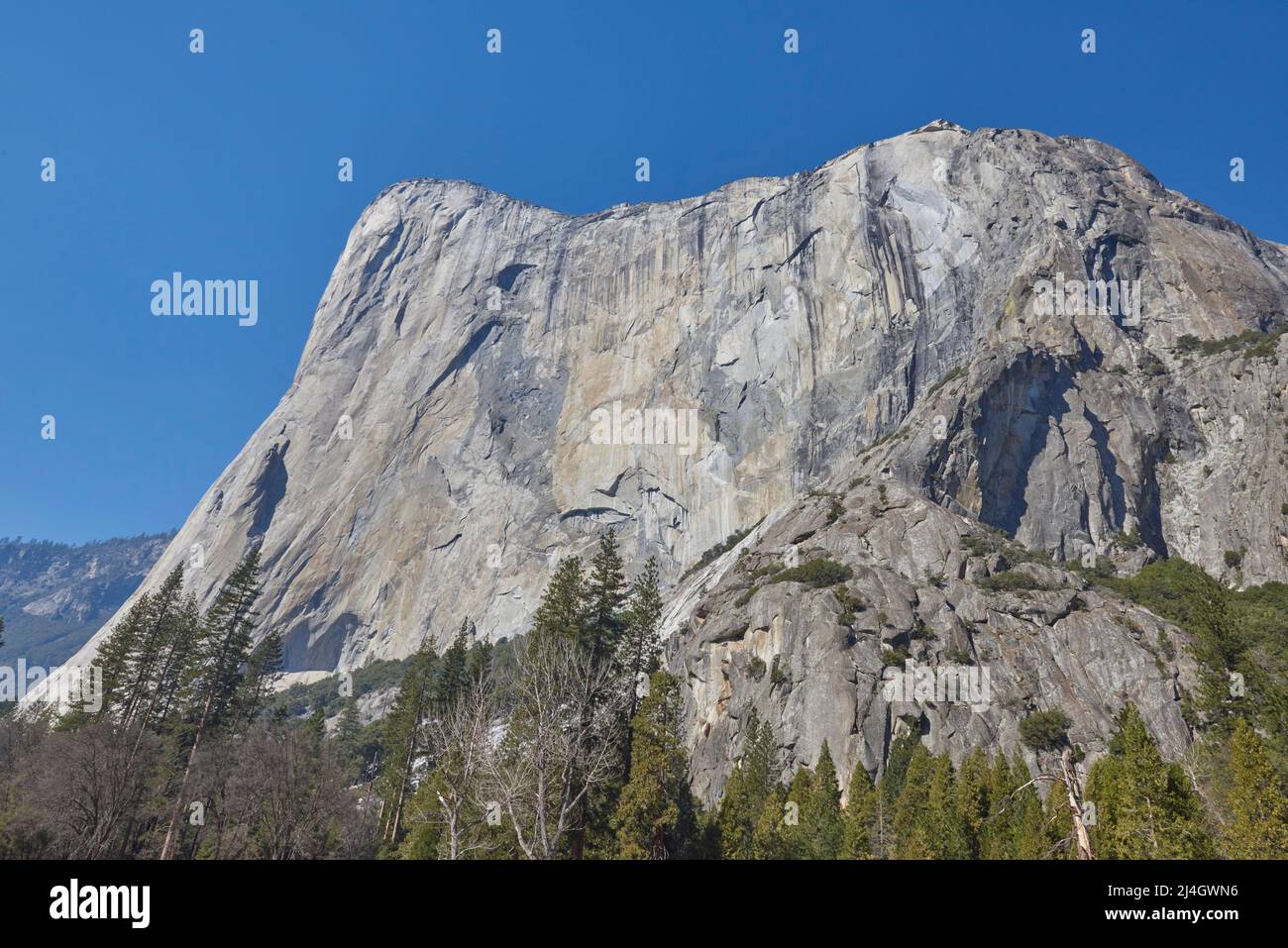 Texas flake hi-res stock photography and images - Alamy