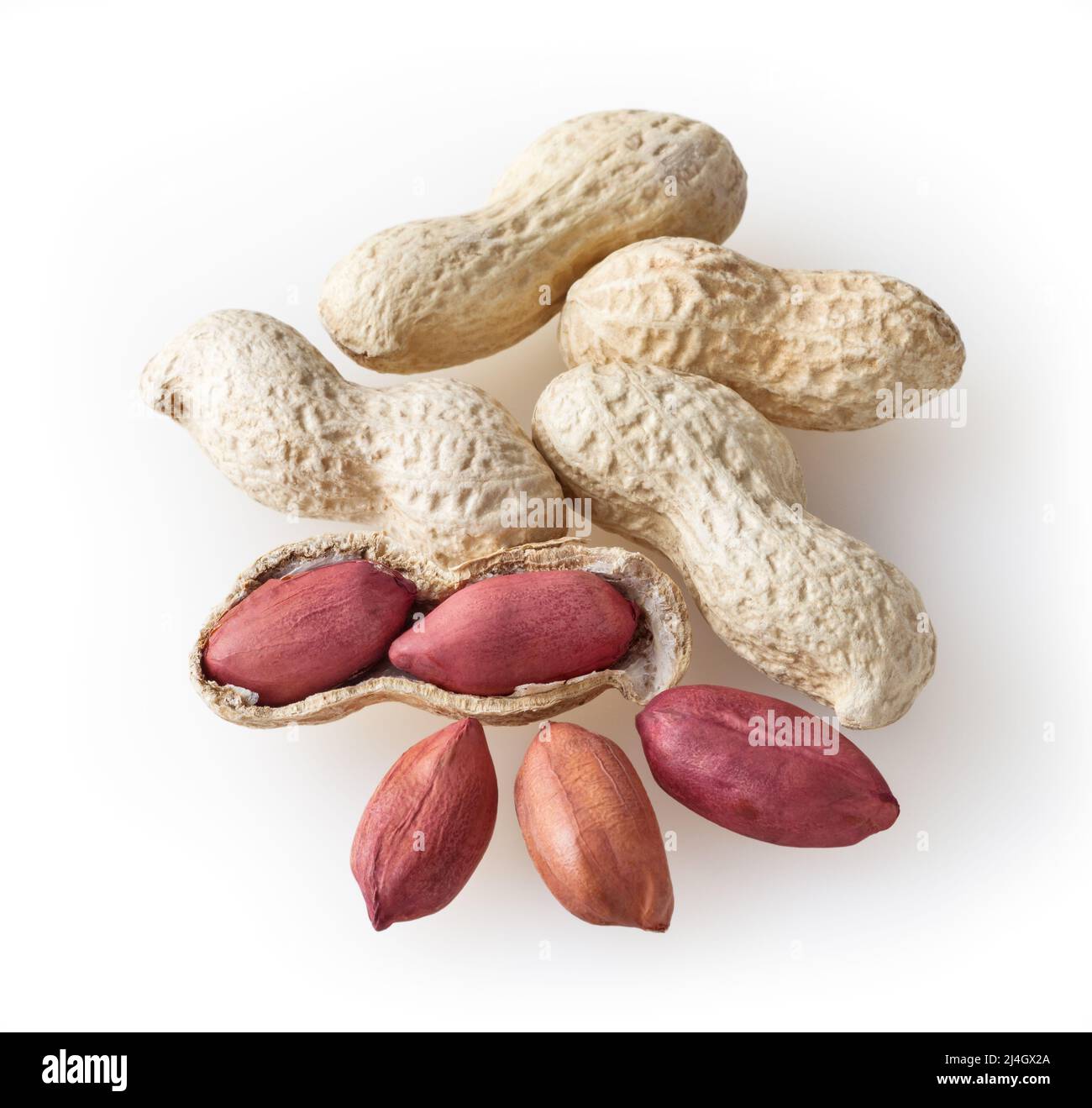 Raw peanuts isolated on white background with clipping path Stock Photo ...