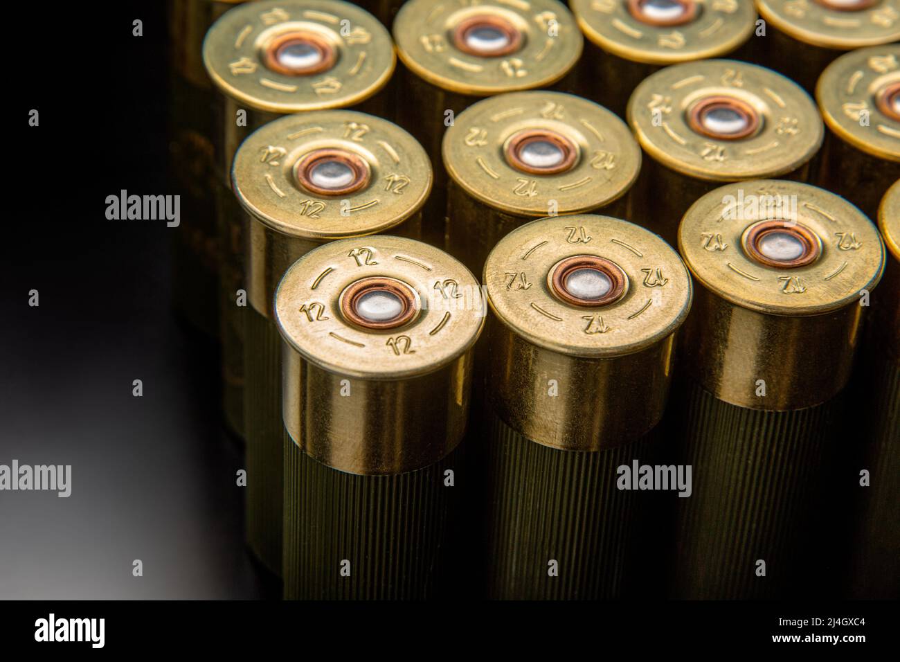 Shotgun shells on a black reflective surface. Ammunition for 12 gauge ...