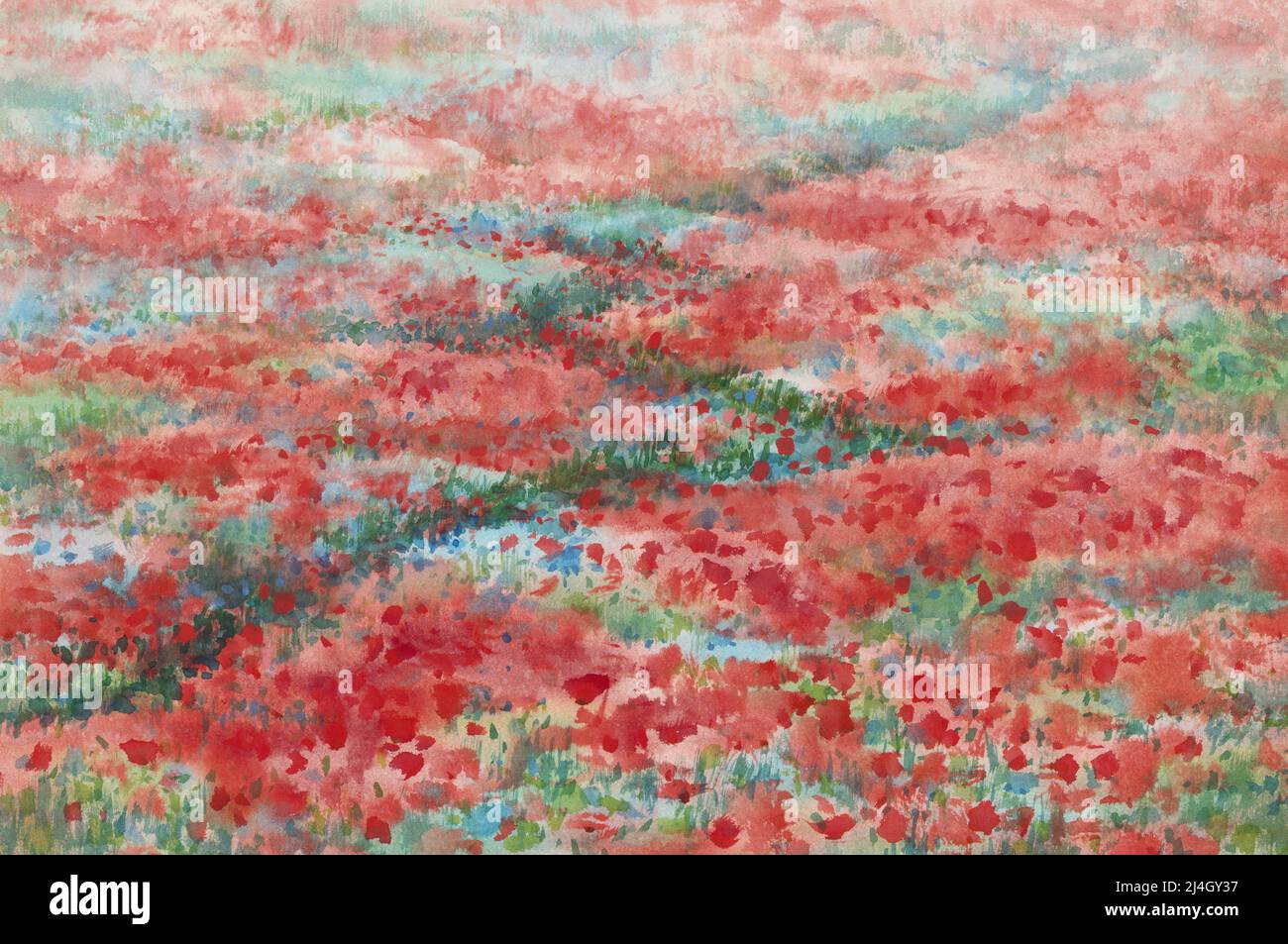 Red poppy field abstract watercolor background. Summer landscape Stock ...