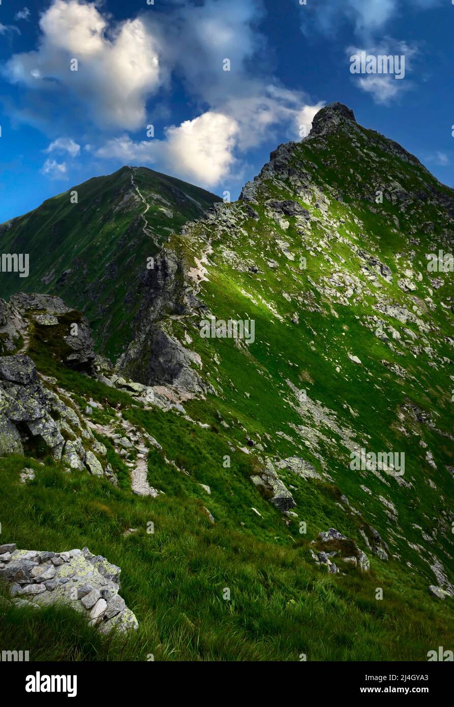 nature landscape background mountain ridge overgrown with green grass ...